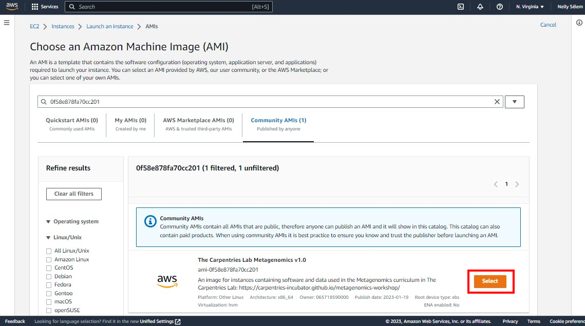 Metagenomics Workshop Overview: Launching your own AMI instances